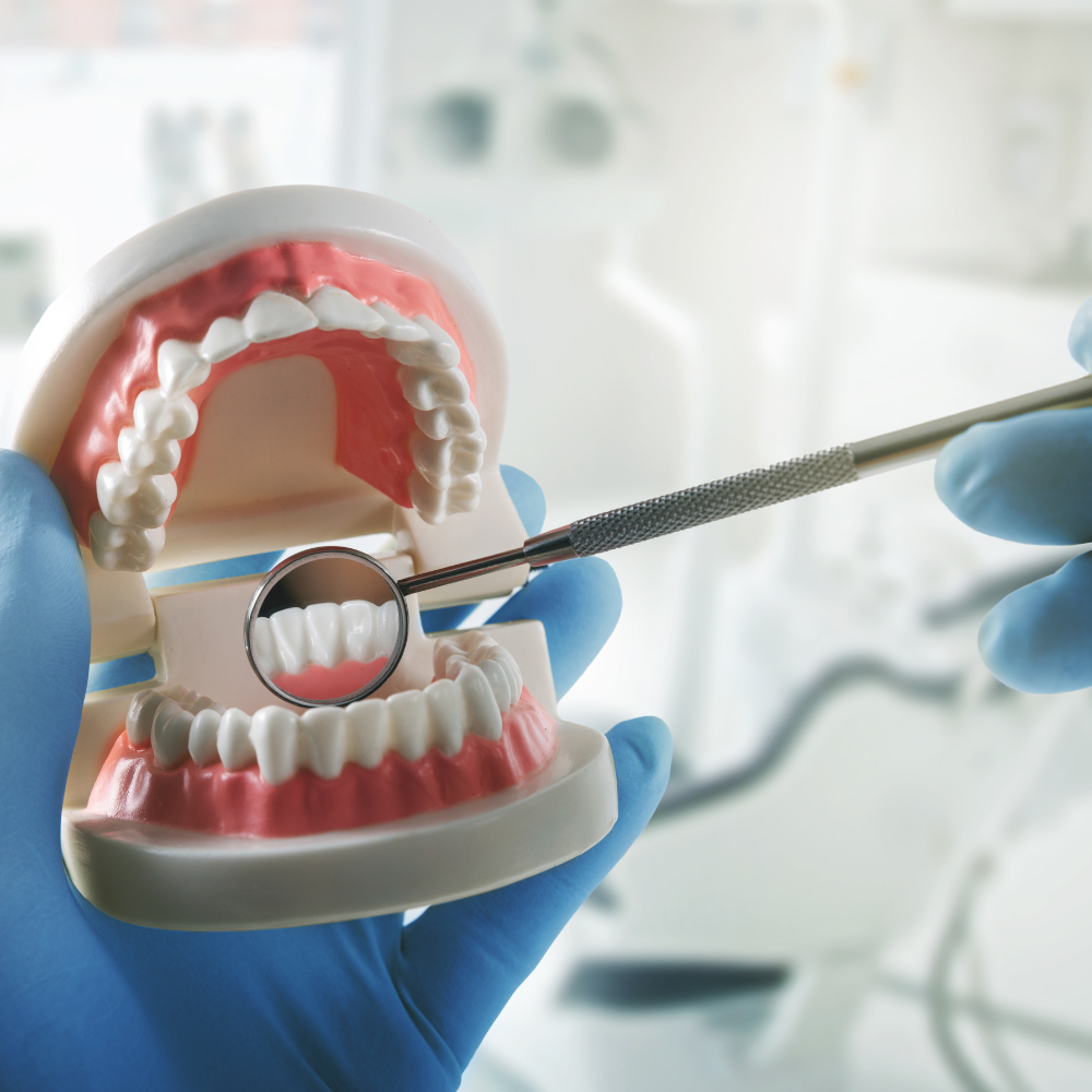 Oral Health Therapy – Fuzzy Brush